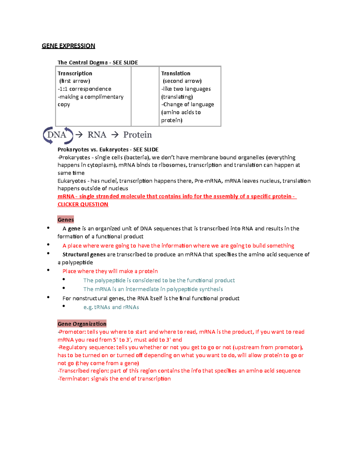 GENE Expression BIOL1P91 - GENE EXPRESSION The Central Dogma SEE SLIDE ...