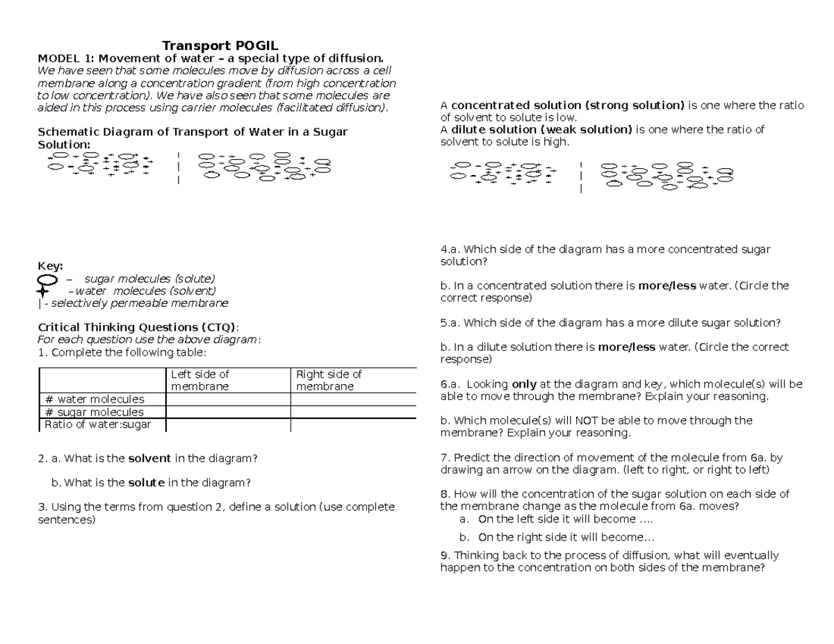 Transport Pogil Students - Transport POGIL MODEL 1: Movement of water ...