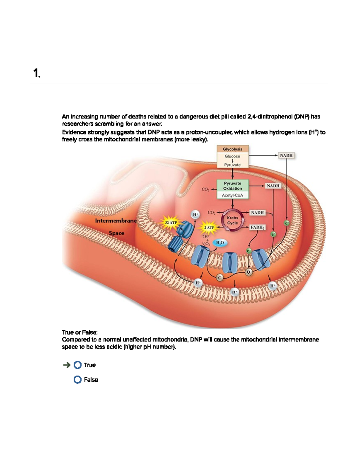 Practice exam 1 KEY - exam worksheet for unit one test - Note: exclude ...