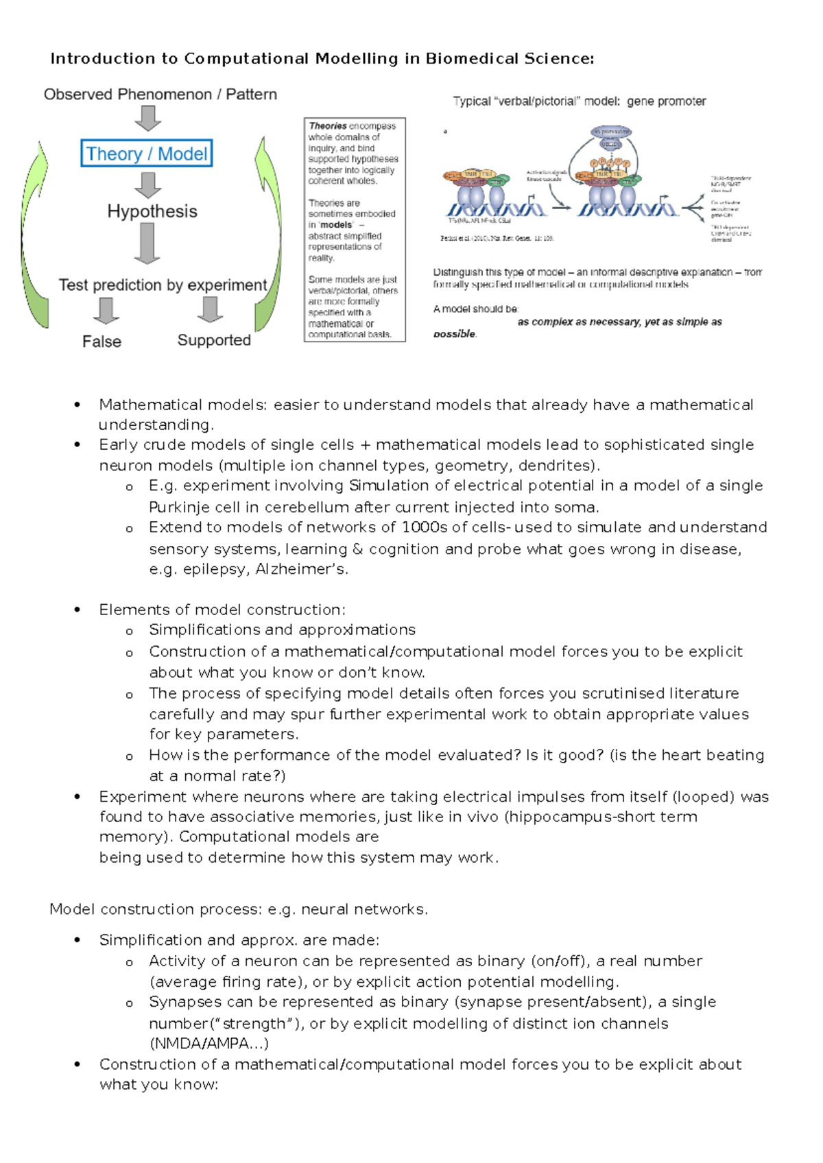 Introduction to Computational Modelling in Biomedical Science - Early ...