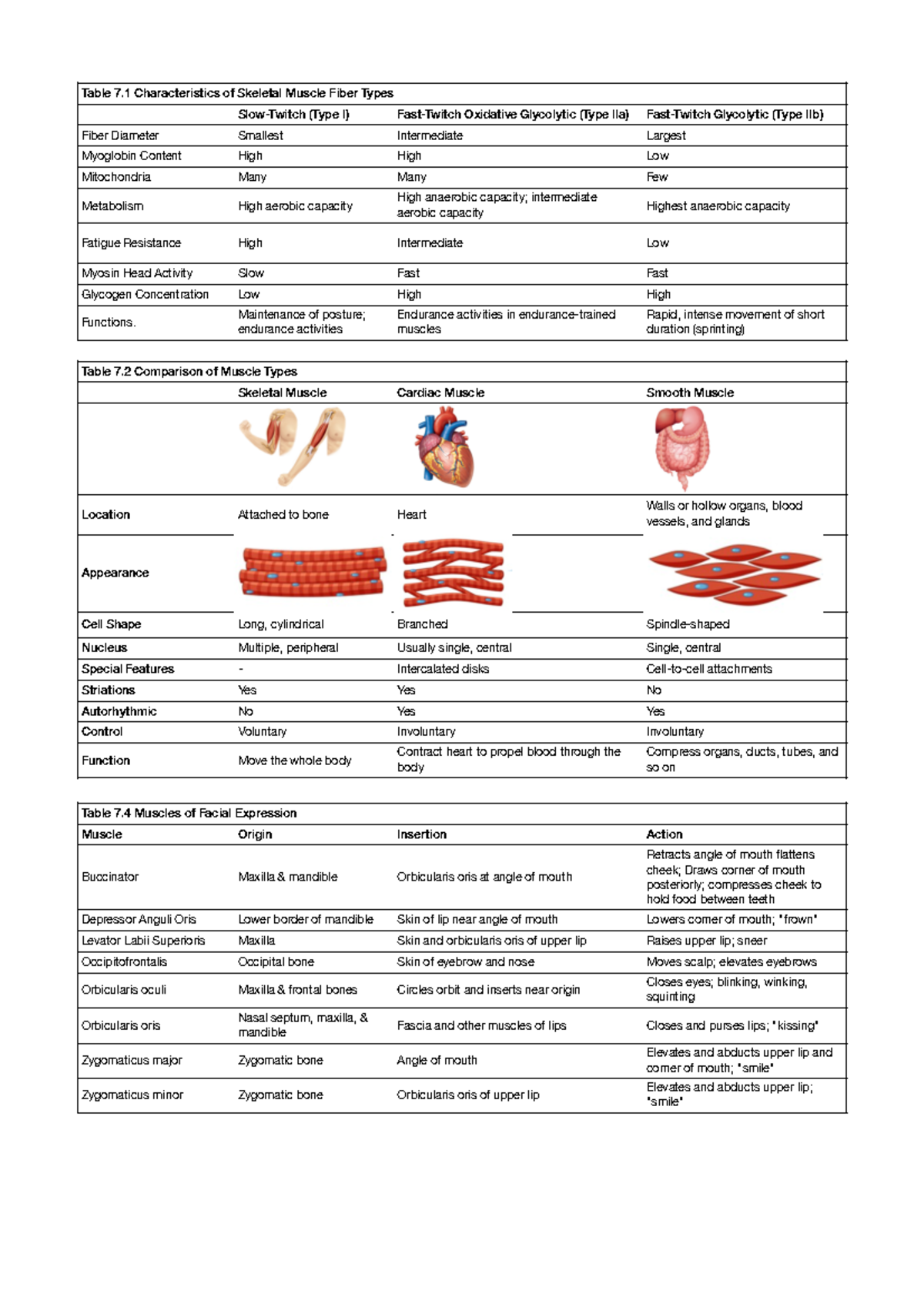 Anatomy Physiology Tables Muscular - Table 7 Characteristics of ...