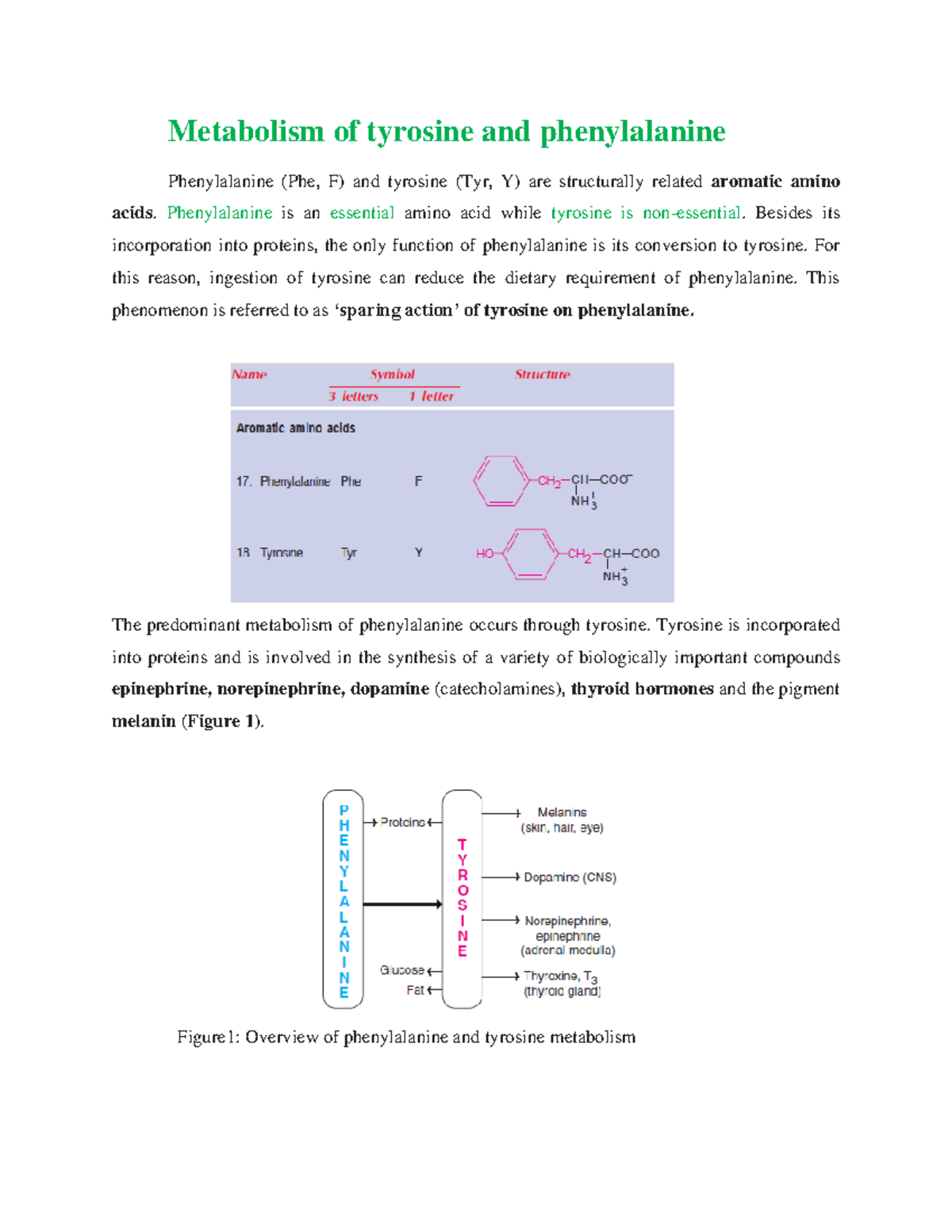 Metabolism of amino acids - Metabolism of tyrosine and phenylalanine ...