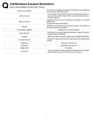Capillaria-philippinensis-1 - Capillaria philippinensis Kingdom ...