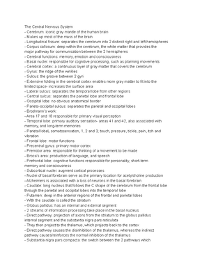 Anatomy Exam 1 Study Guide - Warning: Error during font loading: XMLHttpRequest is not defined ...