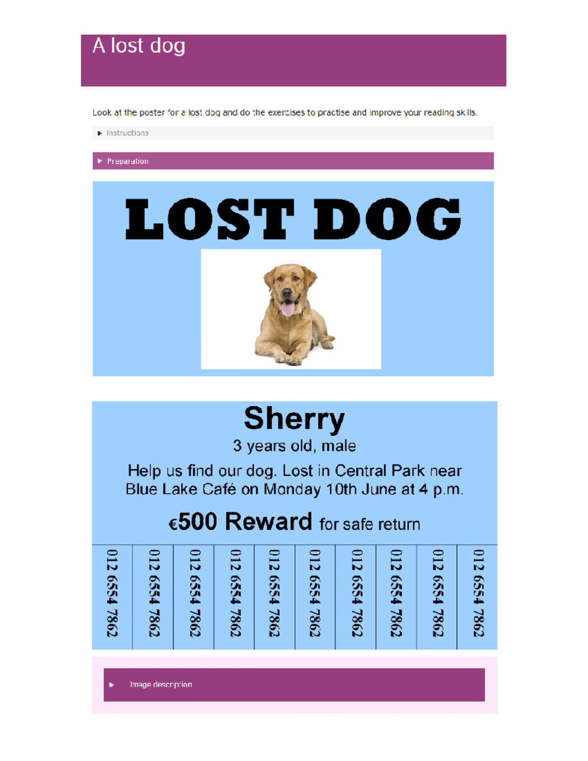 Lost dog - summary - ingles - Studocu