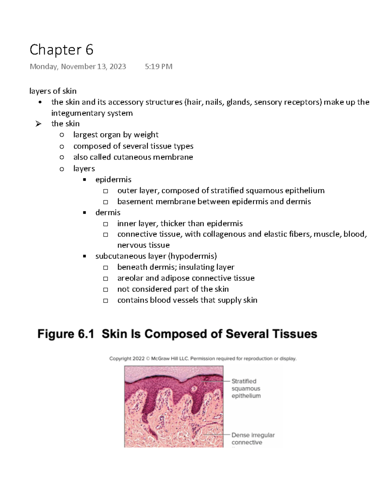 Integumentary System - layers of skin the skin and its accessory ...