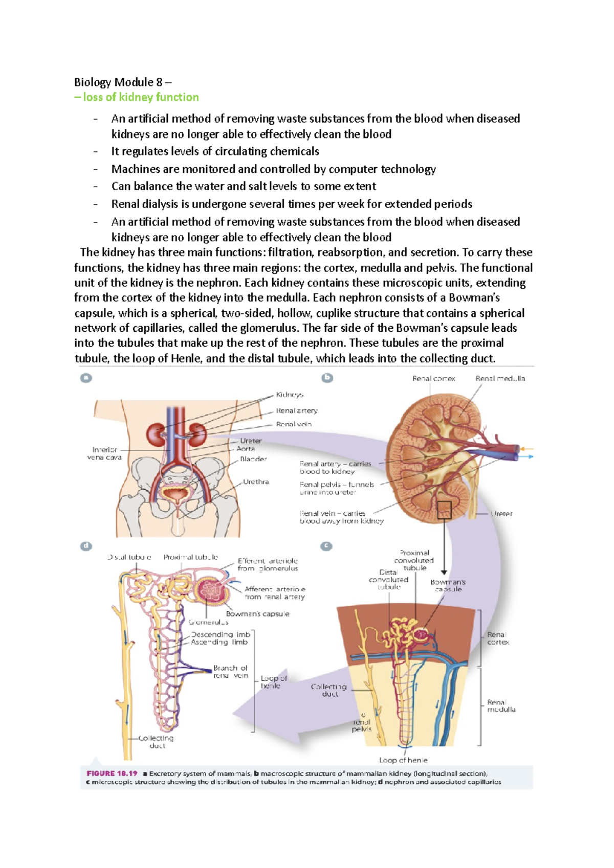 Biology Module 8 - Notes - Biology Module 8 – – loss of kidney function ...