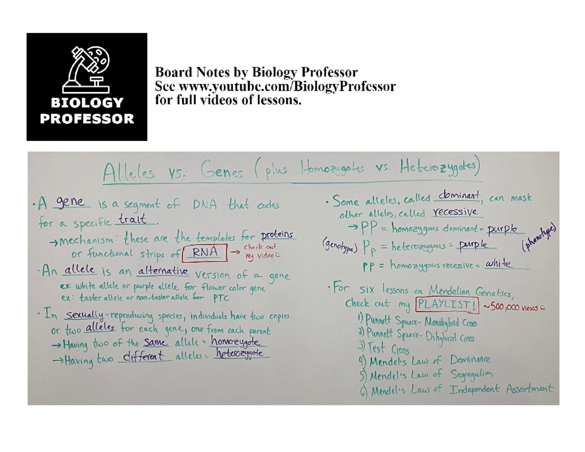 Board Notes - Alleles vs. Genes (plus Homozygotes vs. Heterozygotes ...