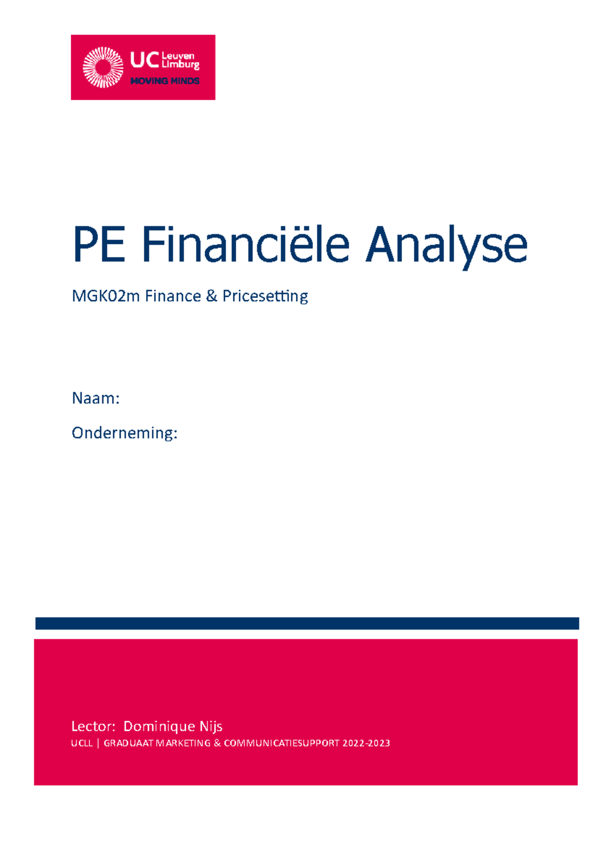 Sjabloon PE Financiële Analyse(1) - Lector: Dominique Nijs UCLL ...