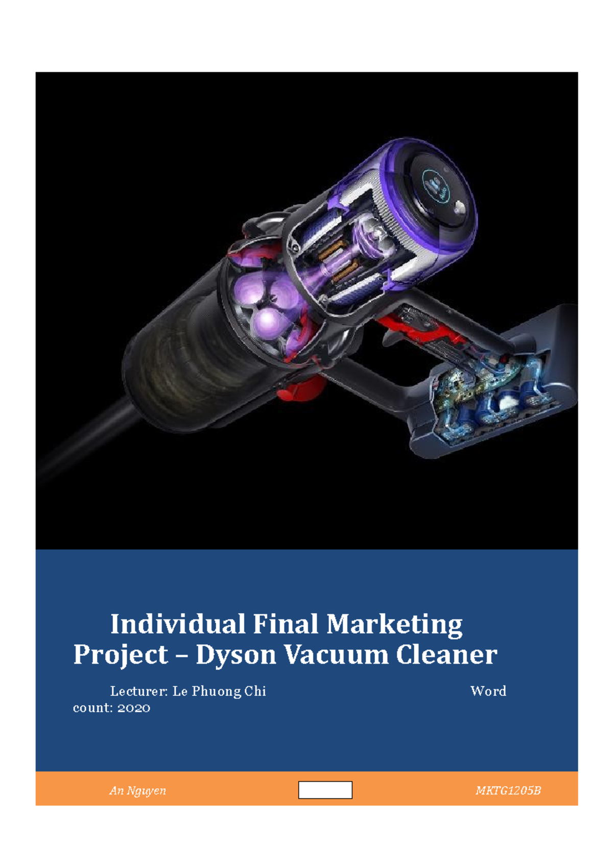 HN Nguyen The Nam An S3926614 - Individual Final Marketing Project – Dyson Vacuum Cleaner ...