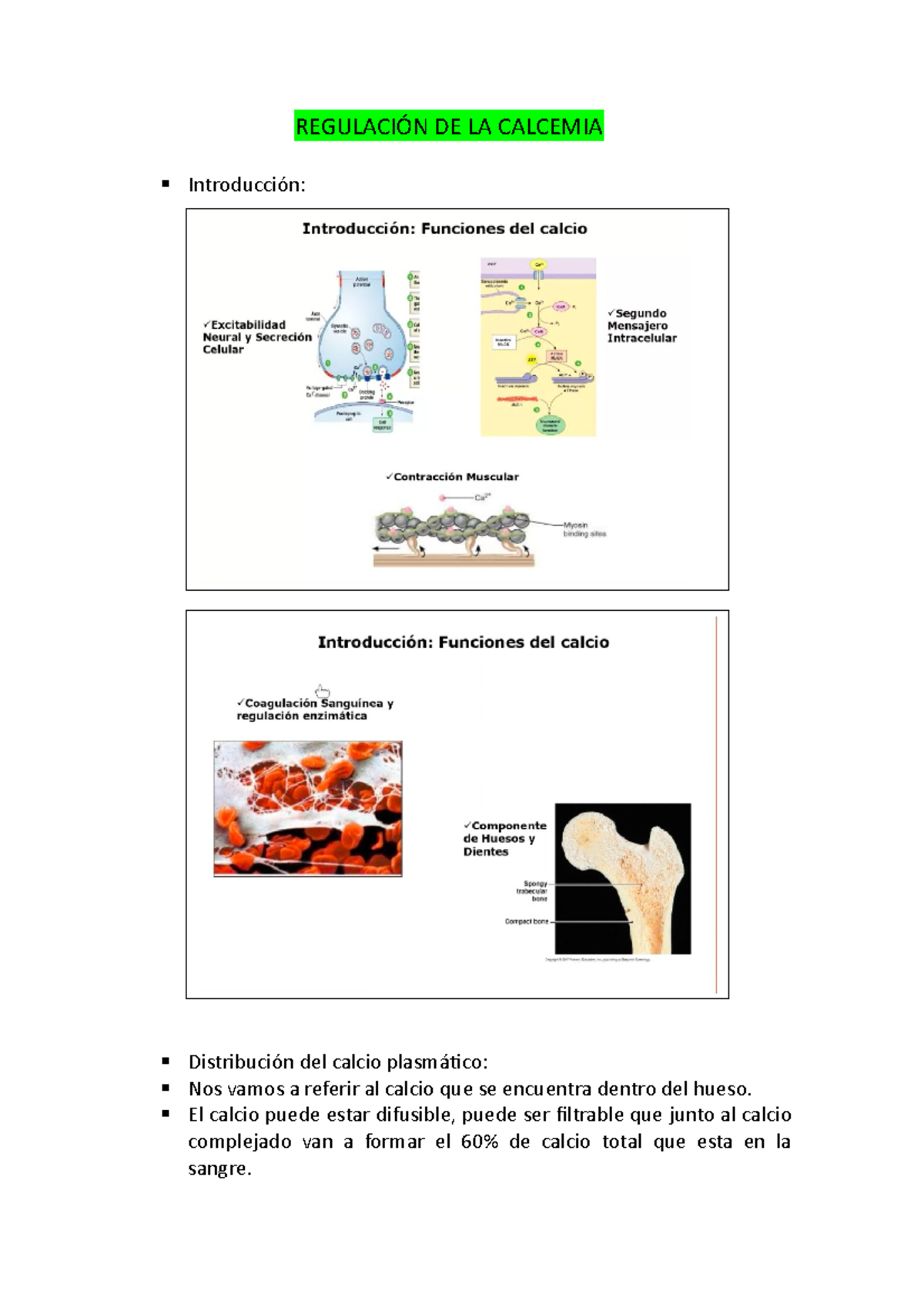 RegulacióN DE LA Calcemia - REGULACIÓN DE LA CALCEMIA Introducción ...