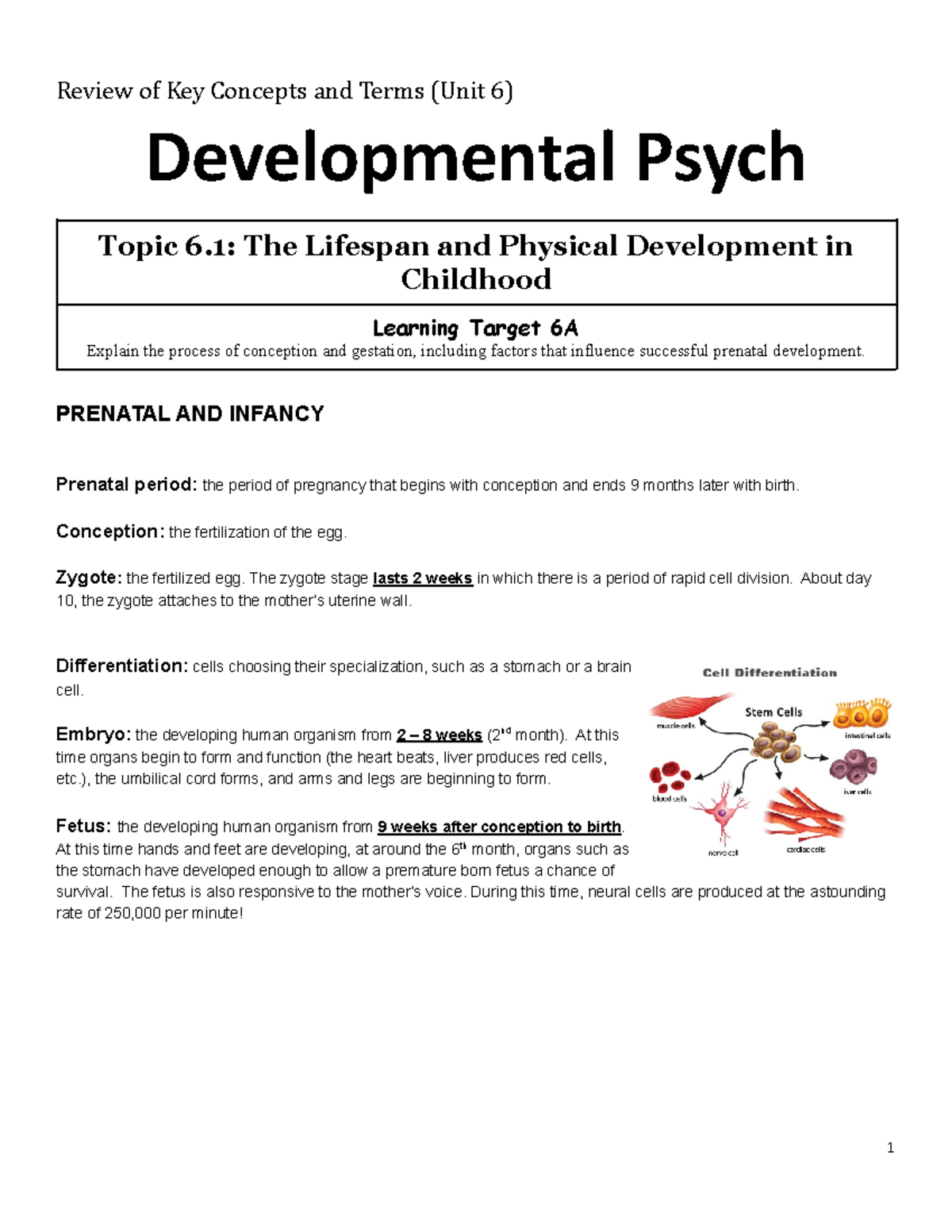 Review (Unit 6) - Development - Review of Key Concepts and Terms (Unit ...