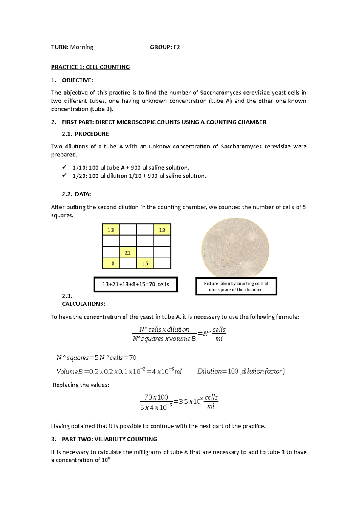 Cell Counting Lab Practice - TURN: Morning GROUP: F **PRACTICE 1: CELL ...