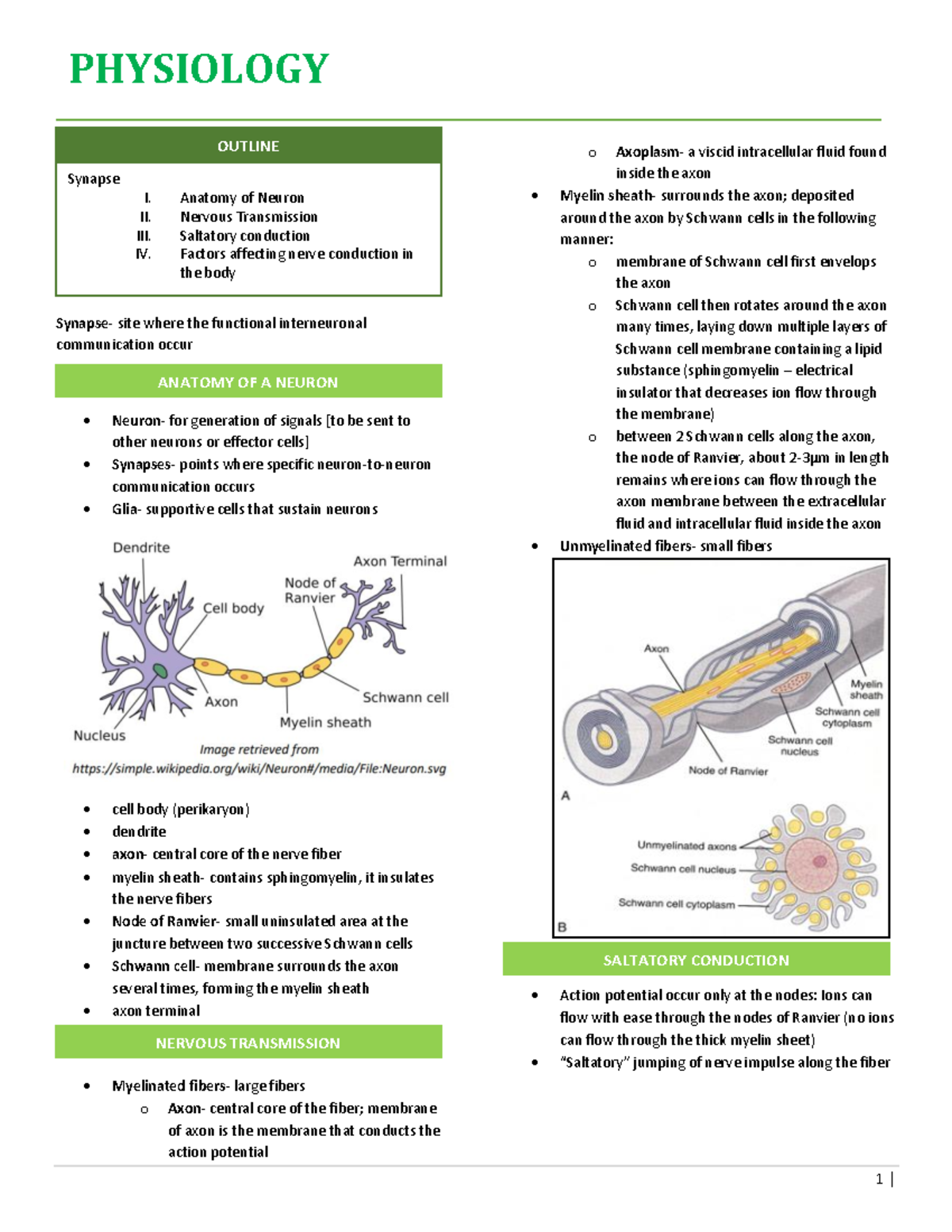 Physiology- Synapse - 1 | PHYSIOLOGY Synapse- site where the functional ...