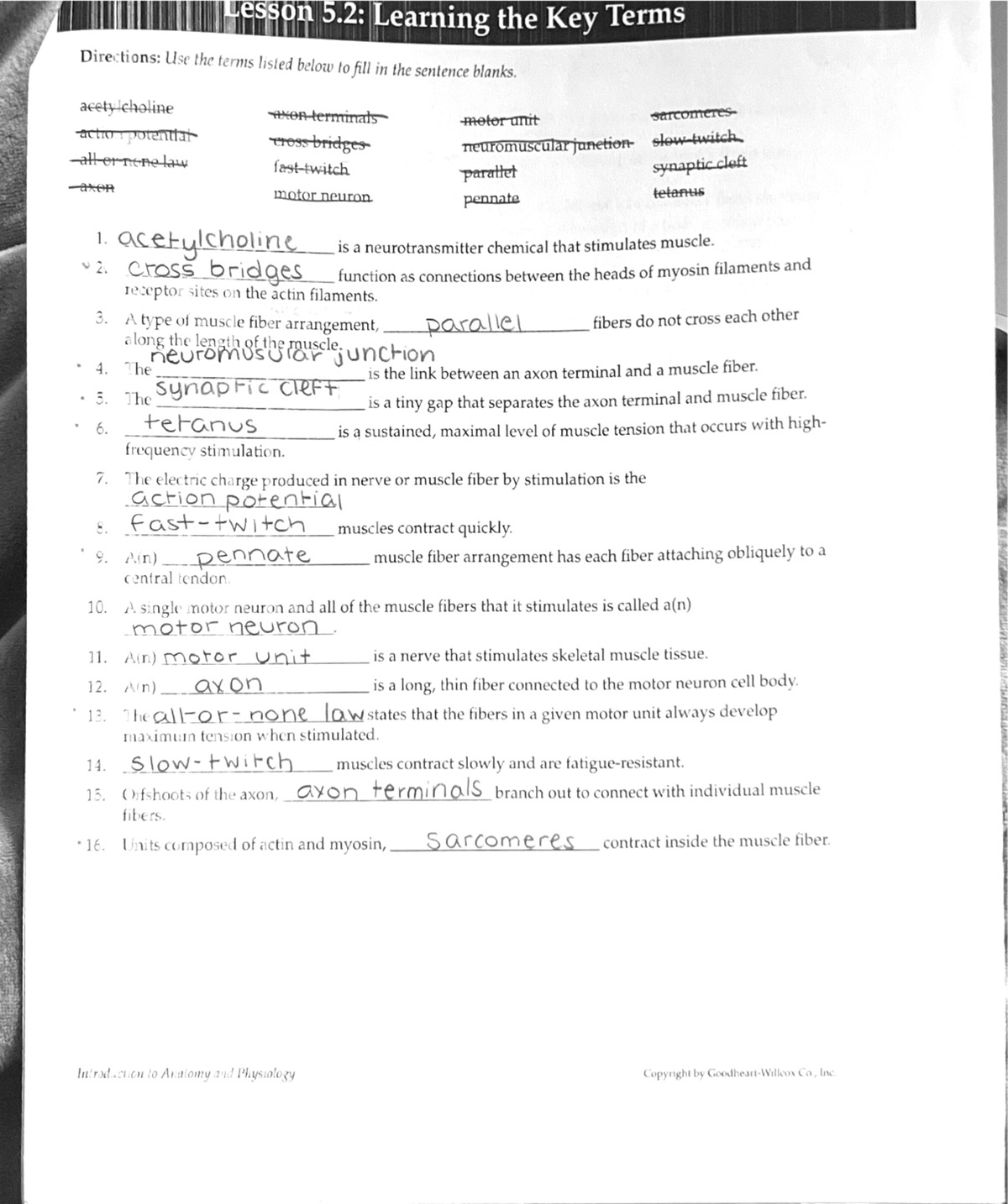 Lesson 5.2 - Learning Key Terms - BIO 2053 - Studocu