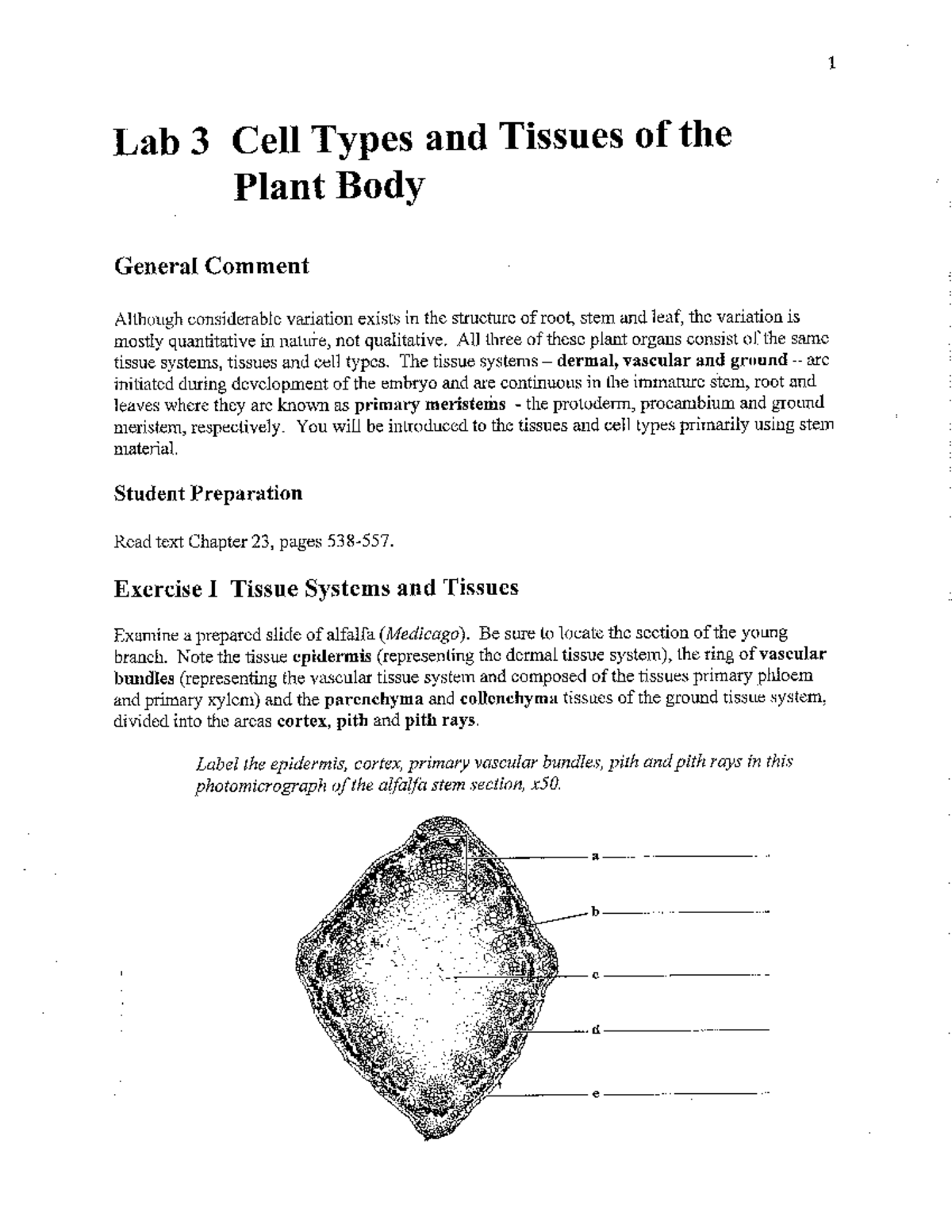 Lab 3 Cell types new table - BIO 402 - Studocu