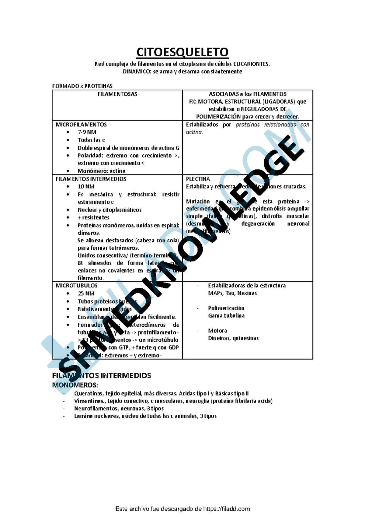 Citoesqueleto - Warning: TT: undefined function: 32 Warning: TT: undefined function: 32 - Studocu