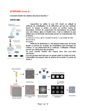Biologie Evolutive Developpement des métazoaire - BILATÉRIENS •Stade ...