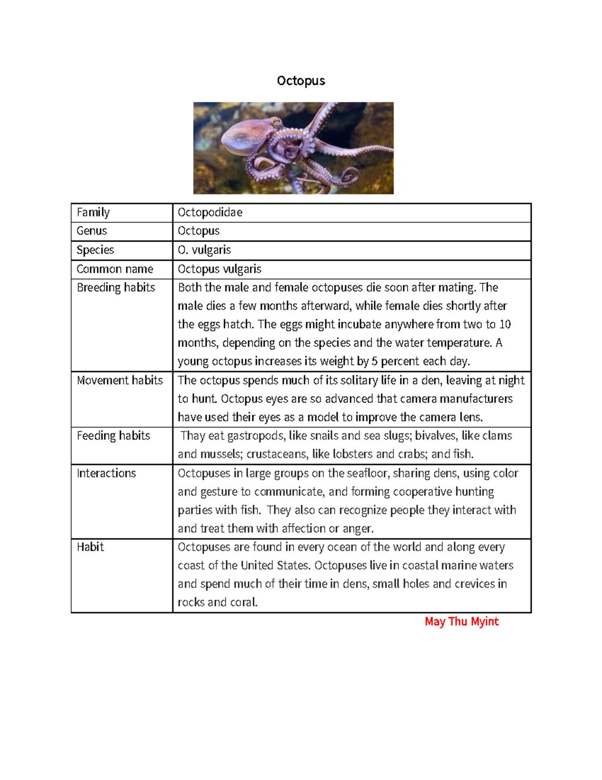 Collection Sheets for Ecotourism(Maythumyint) - Octopus Family ...