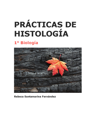 Tema 2 Pared Celular, Plasmodesmos, Punteaduras - LA PARED CELULAR ...