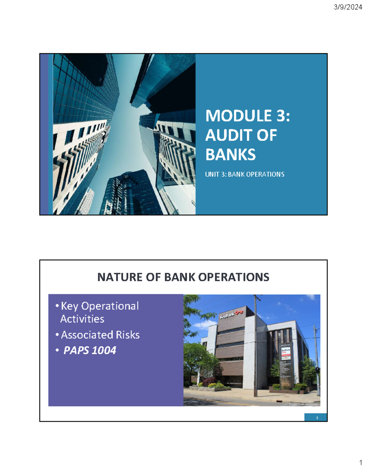 Summary of PAPS 1004 Notes - MODULE 3: AUDIT OF BANKS UNIT 3: BANK ...