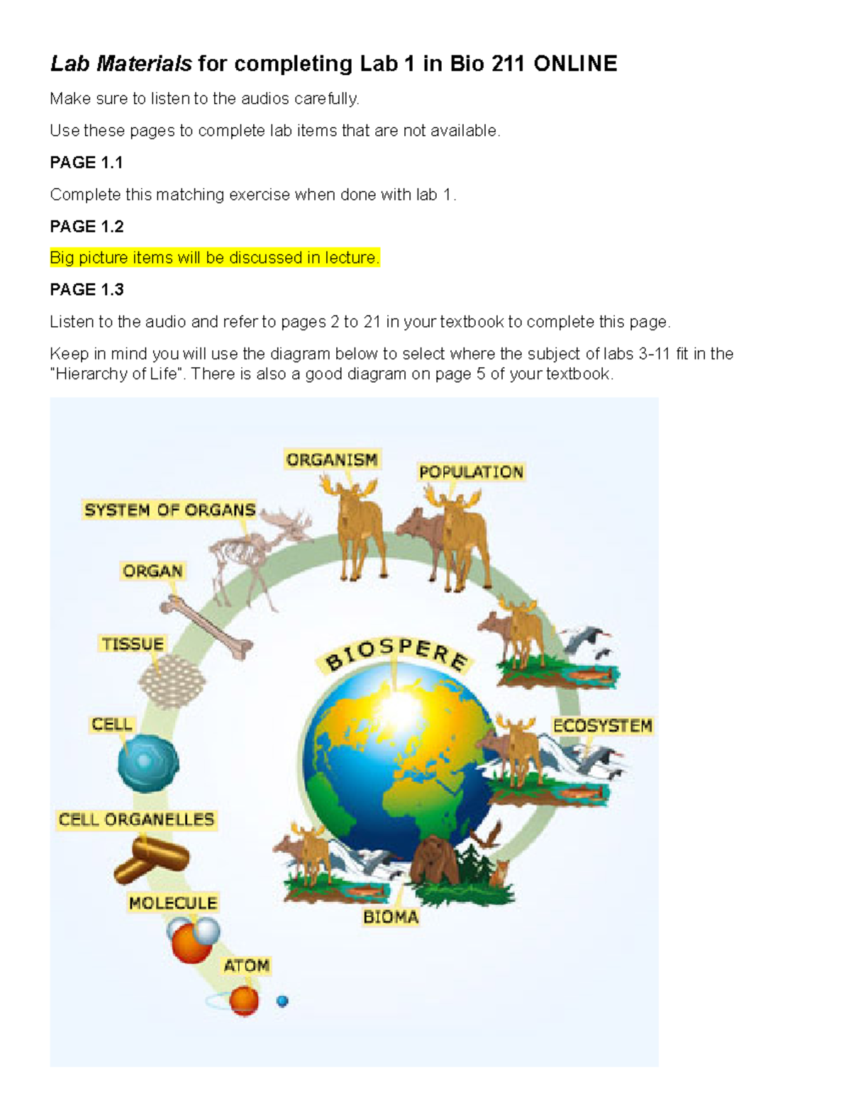 01 Lab Materials on line - Lab Materials for completing Lab 1 in Bio ...