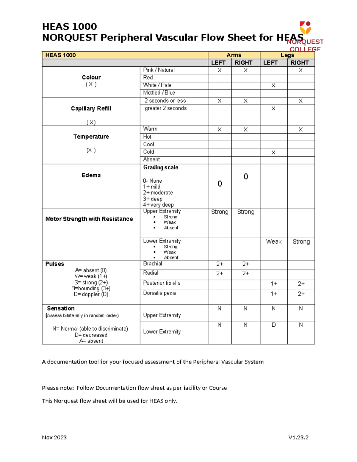 HEAS 1000 Peripheral Vascular Flow Sheet V1 - HEAS 1000 NORQUEST ...