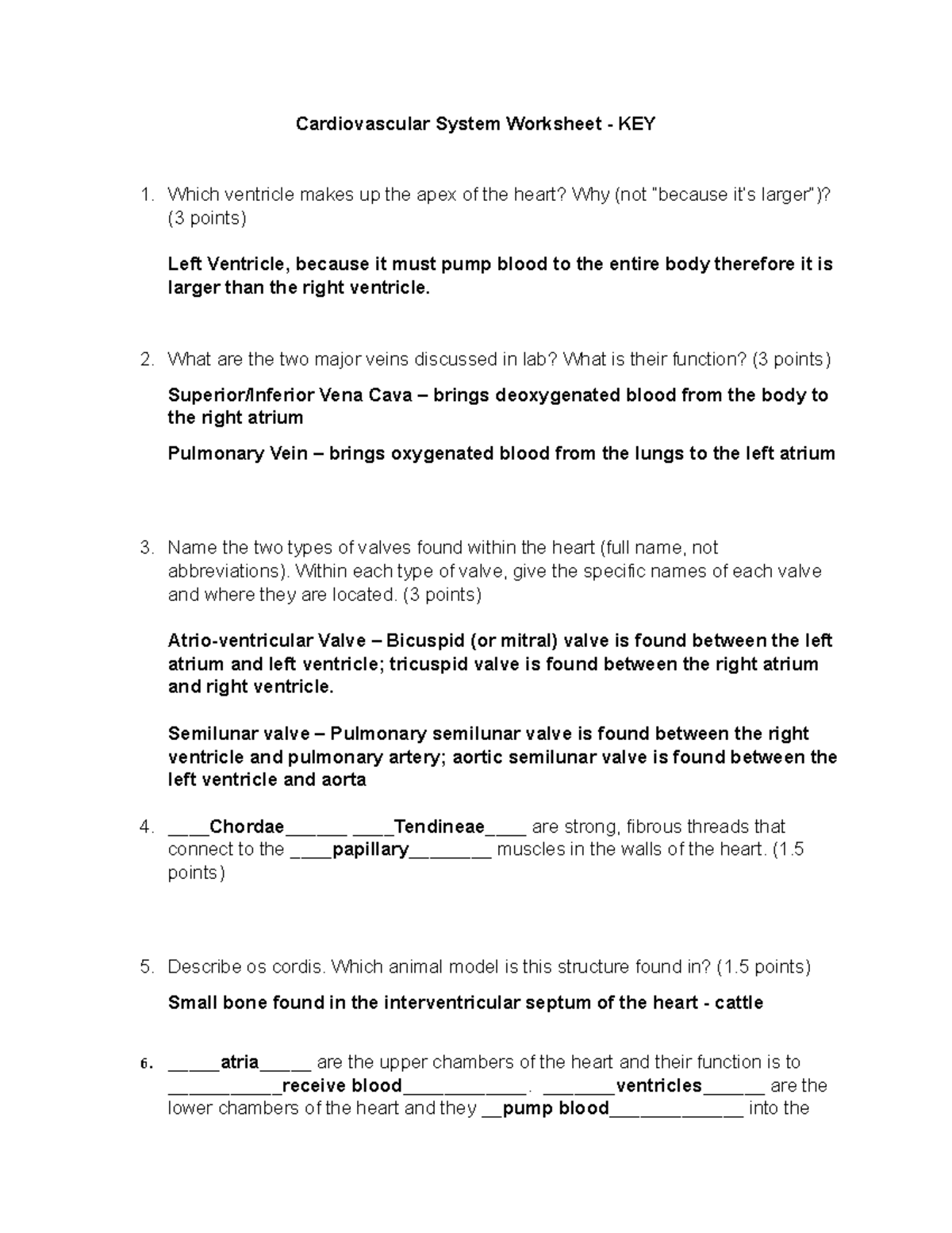 Cardiovascular Worksheet KEY - Cardiovascular System Worksheet - KEY ...