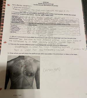 Peripheral Vascular Worksheet NCOA2 - Studocu