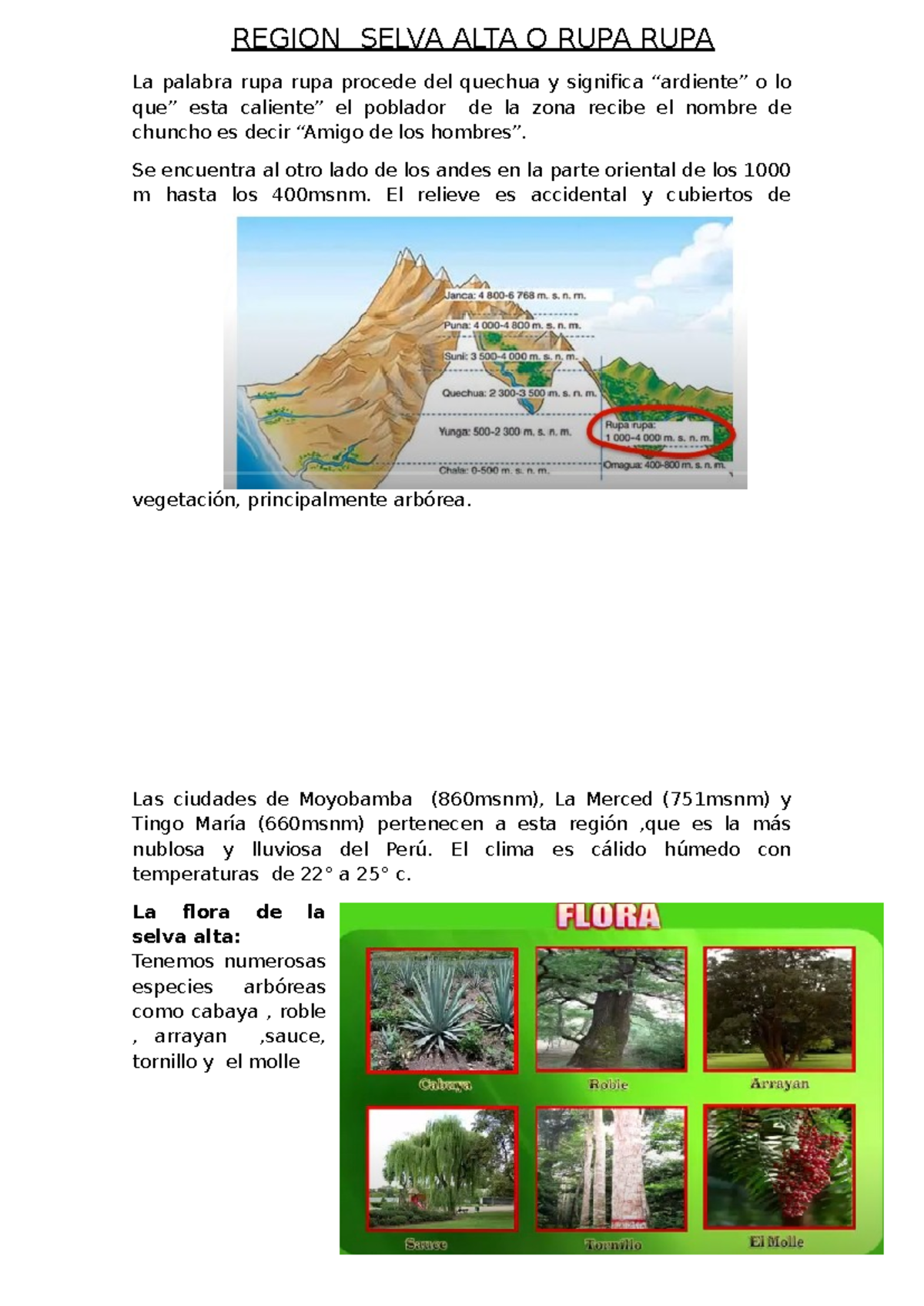 Region Selva ALTA O RUPA RUPA - REGION SELVA ALTA O RUPA RUPA La ...