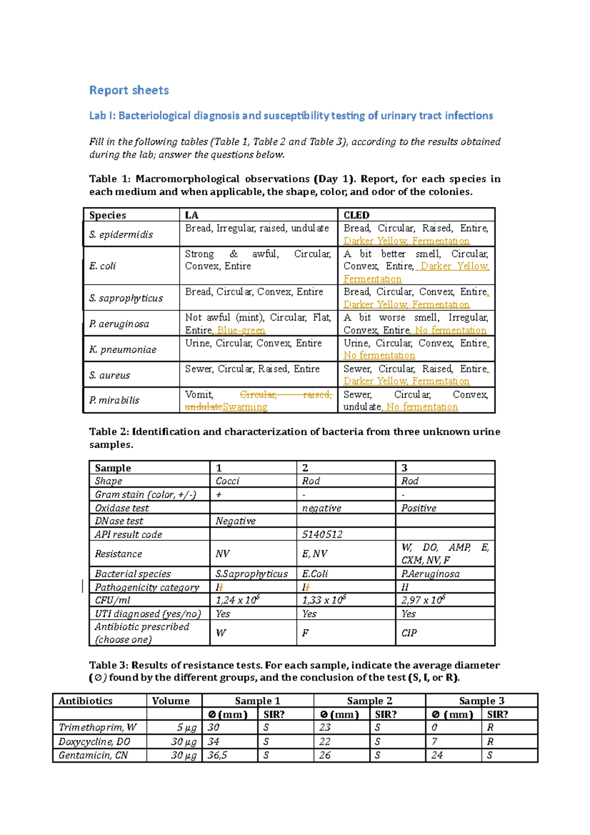 Report-Sheet V3 - Report sheets Lab I: Bacteriological diagnosis and ...