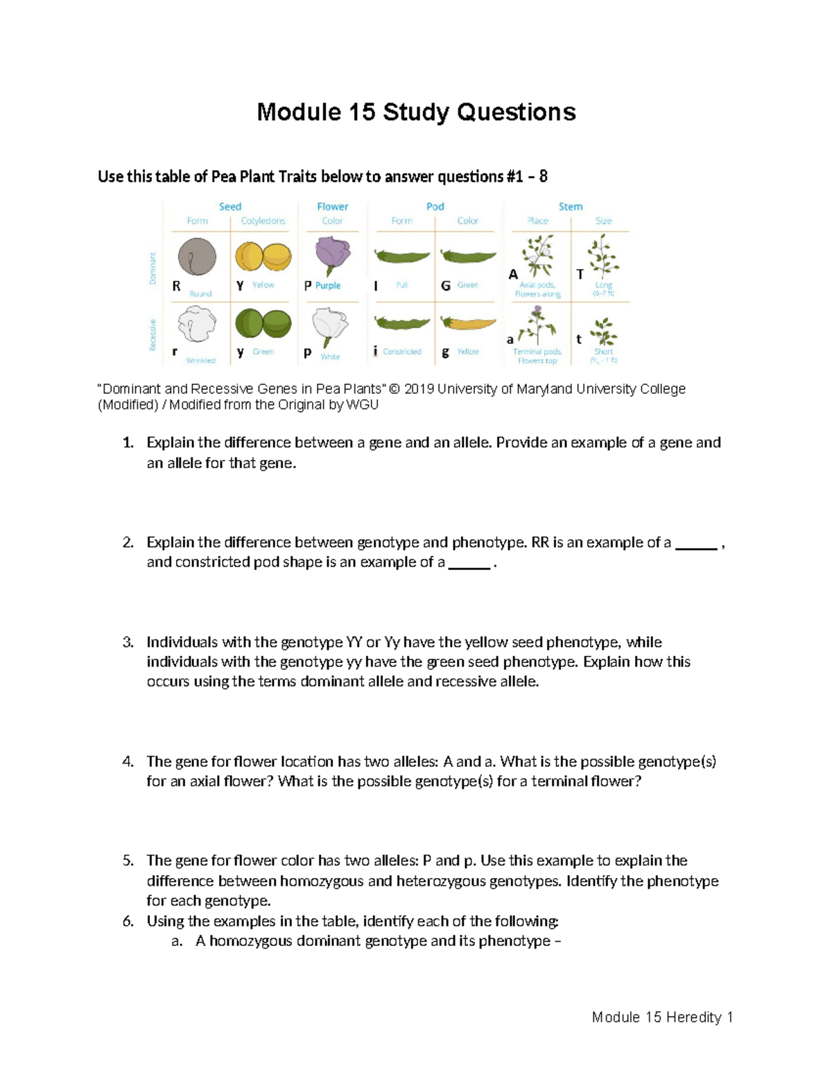 C190.v3 module 15 study questions - Module 15 Study Questions Use this ...