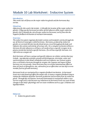 Module 07lab 111818 - lab - Module 07 Lab Worksheet: Central Nervous ...