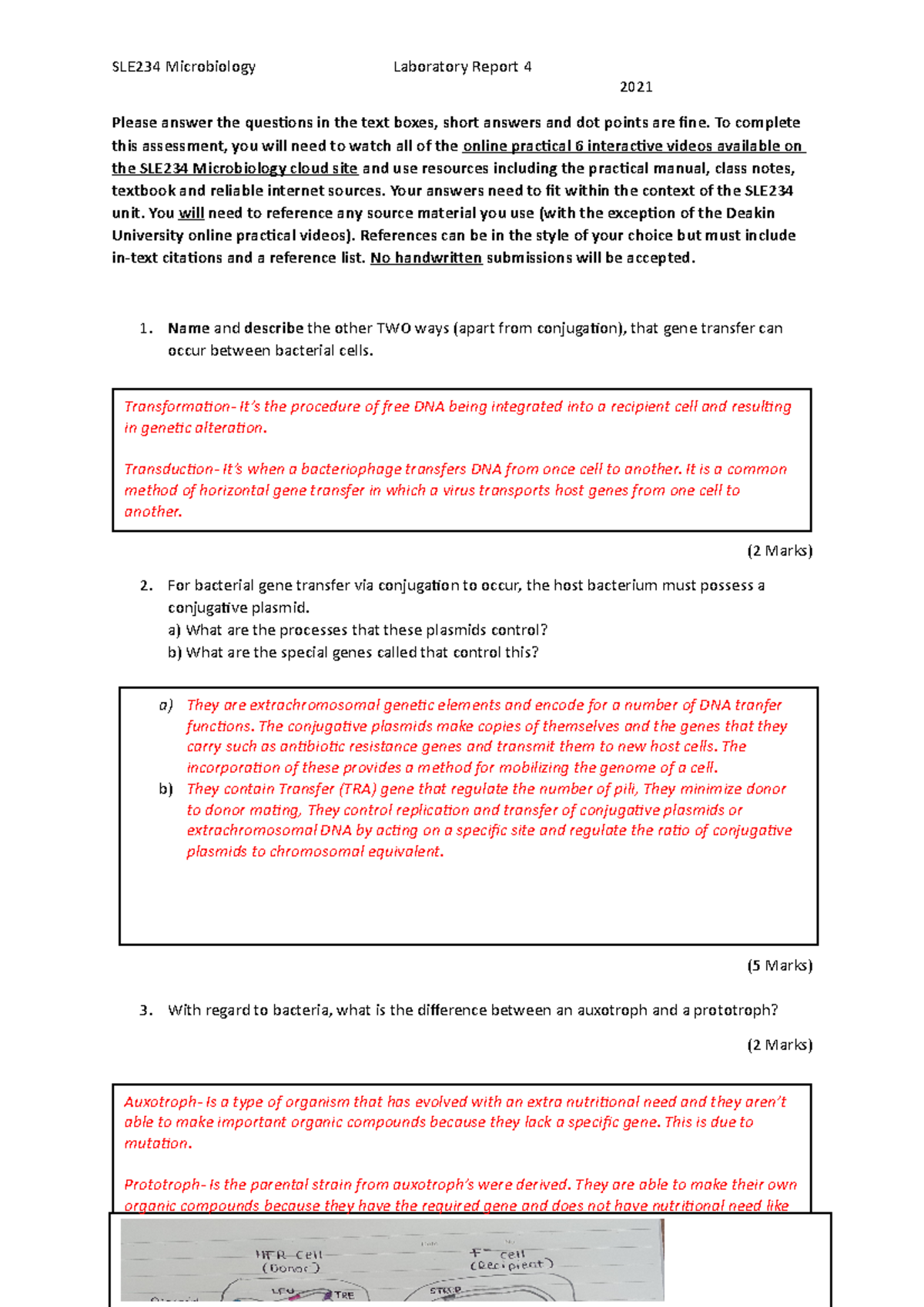 SLE234 Lab Report 4 2021 - 2021 Please answer the questions in the text ...