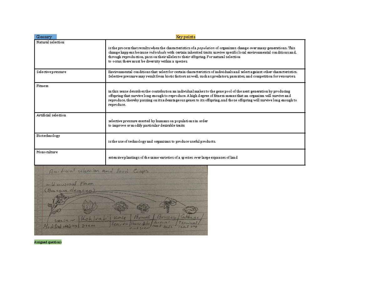 7.2 portfolio Natural Selection and Artificial Selection-2 - Glossary Key points Assigned ...