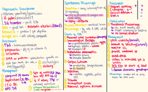 Early Essential Newborn CARE (EINC) Checklist - EARLY ESSENTIAL NEWBORN ...