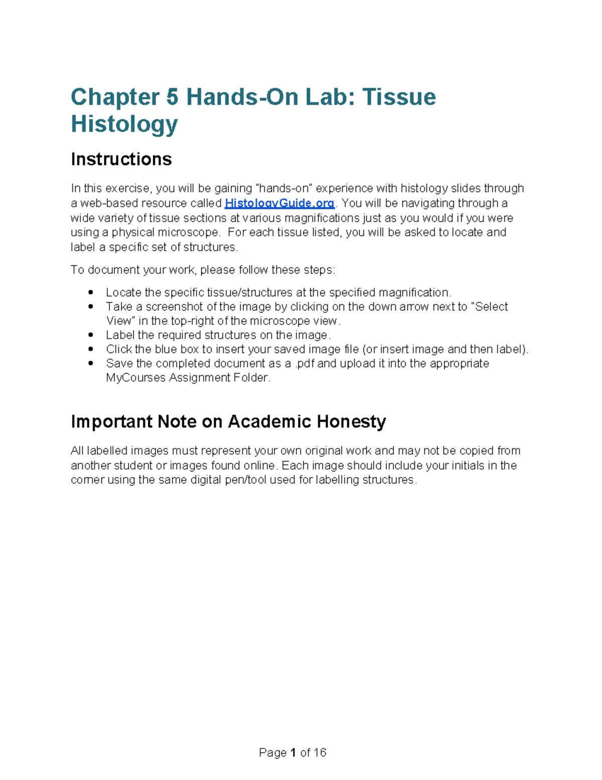 Chapter 5 Hands On Lab - Tissue Histology - Chapter 5 Hands-On Lab ...