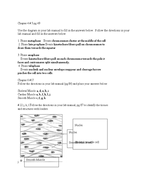 A&P I lab bones study guide - The Skeletal System I. The Axial Skeleton ...