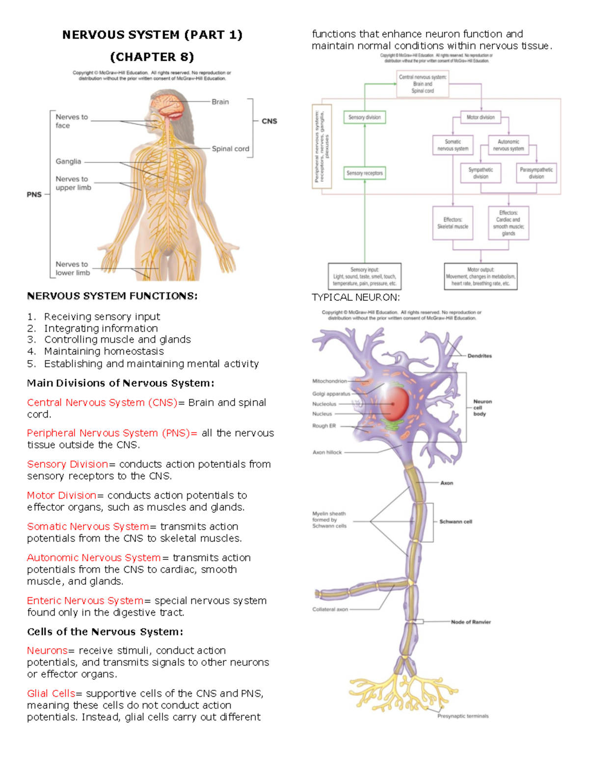 Chapter 8 PART 1 Nervous System - NERVOUS SYSTEM (PART 1) (CHAPTER 8) NERVOUS SYSTEM FUNCTIONS ...