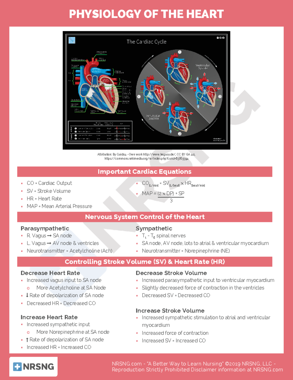 Cs-cardiac-053-physiology of the heart - PHYSIOLOGY OF THE HEART NRSNG ...