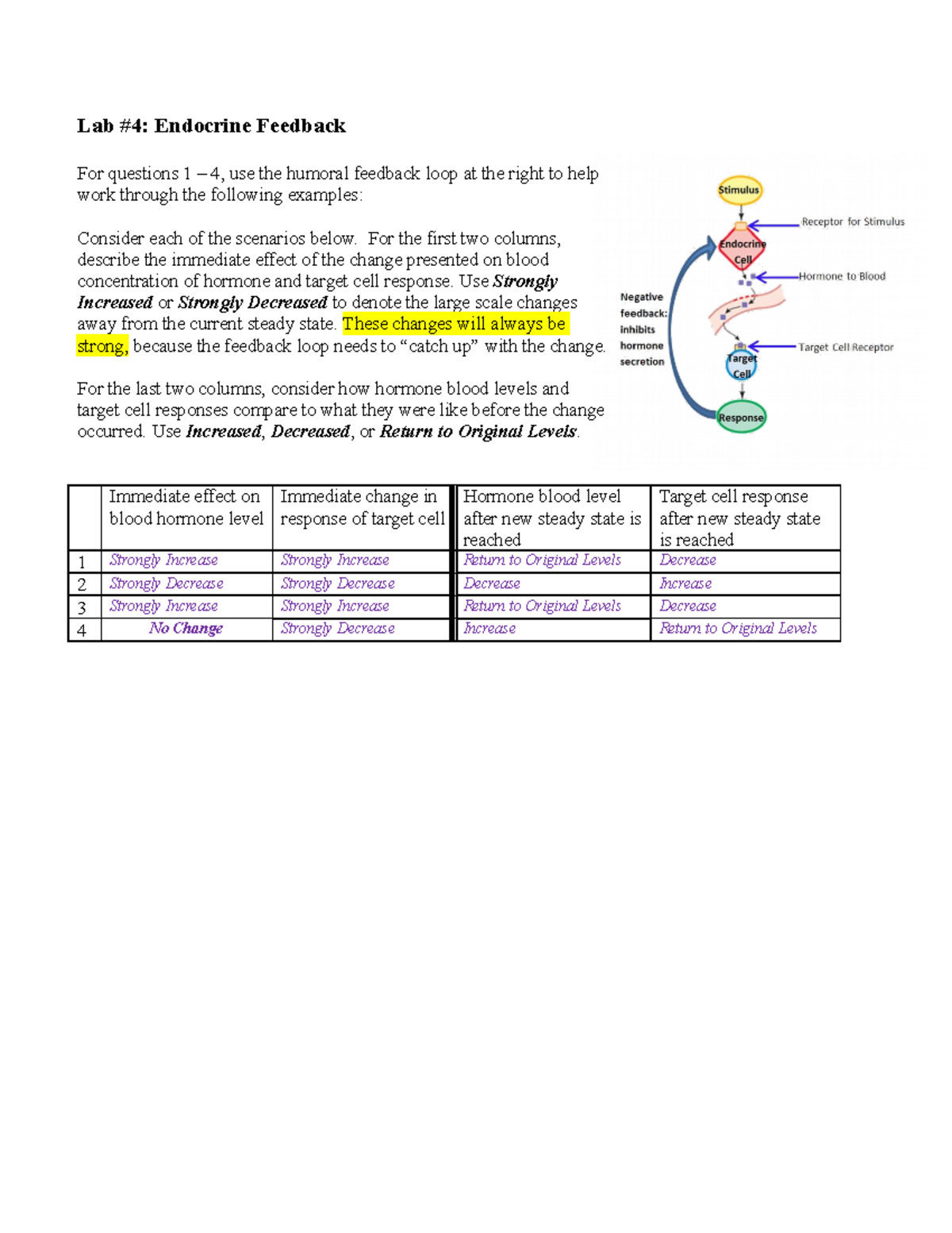 Lab 3 Endocrine Lab Sheet - Lab #4: Endocrine Feedback For questions 1 ...