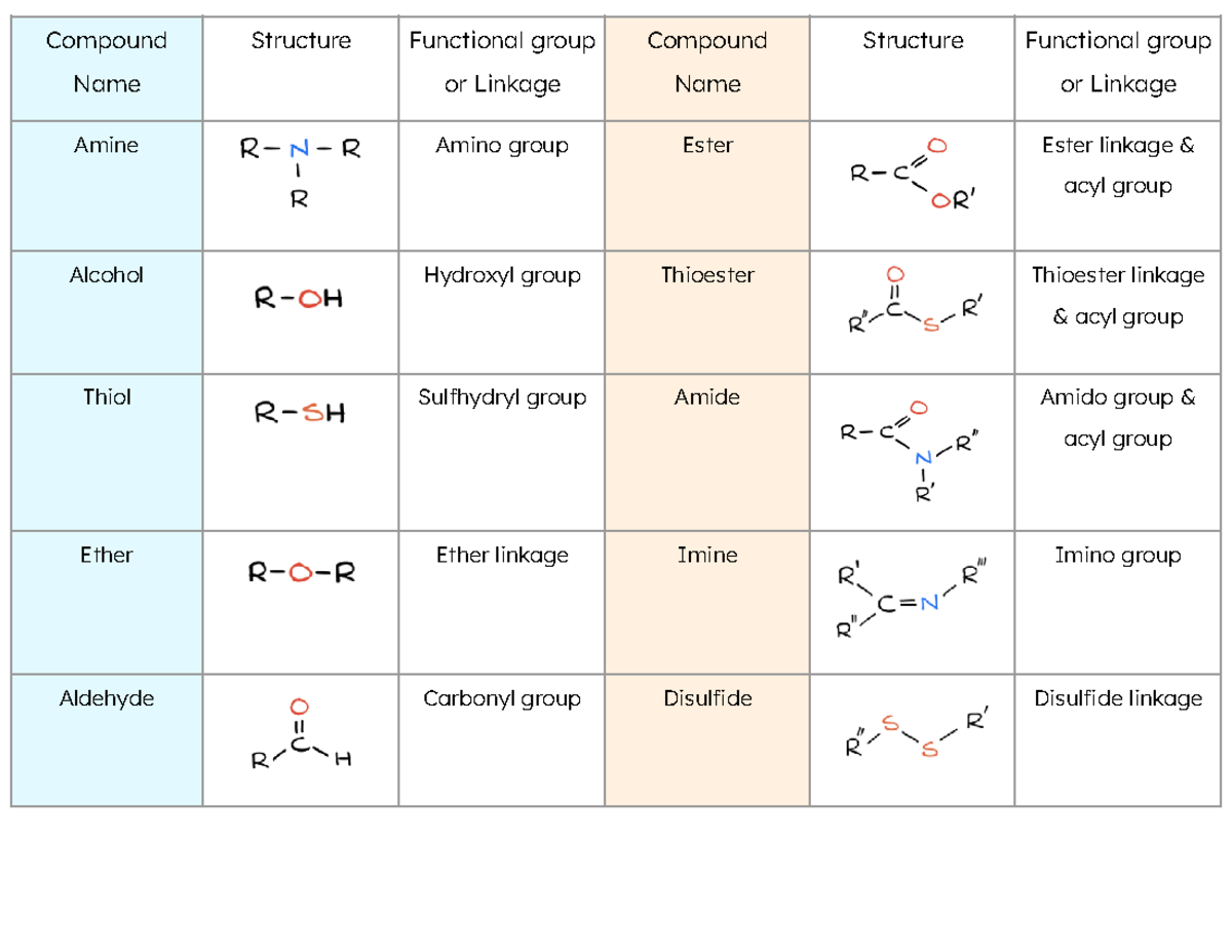 Untitled document - BCH2333 charts - Compound Name Structure Functional ...