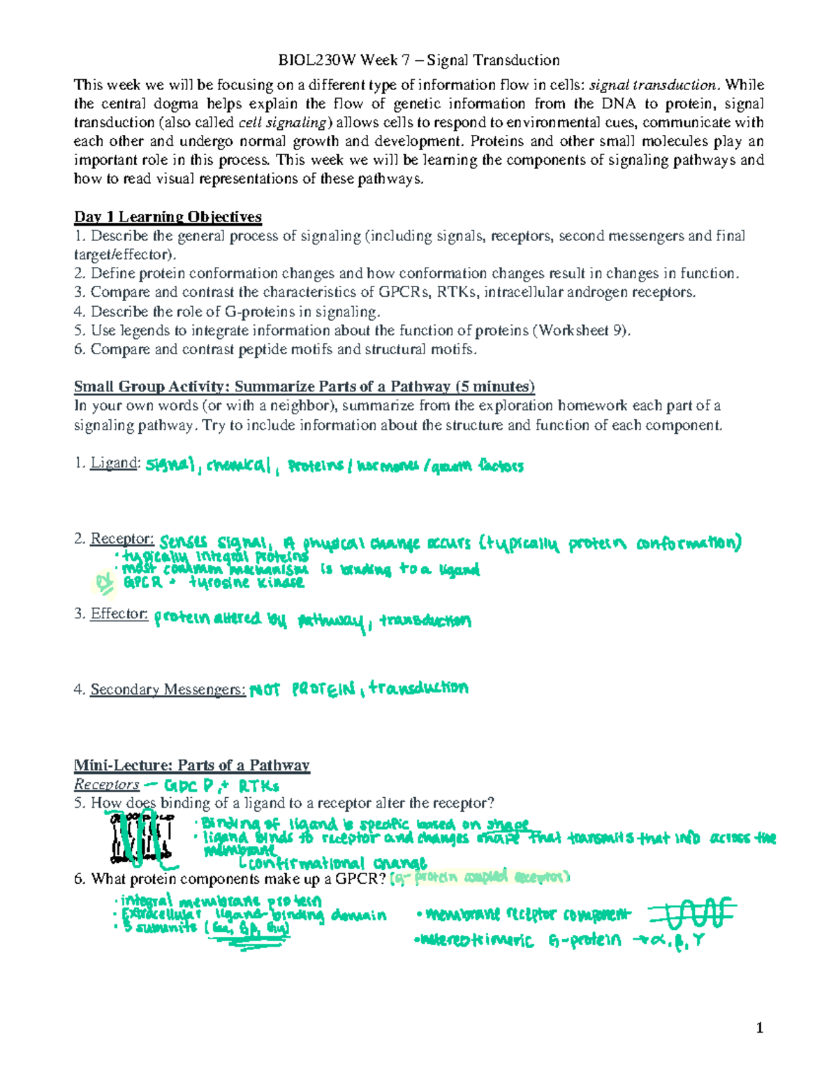 Week 7 Packet Answer Key - This week we will be focusing on a different ...