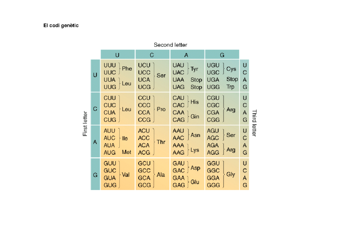 Tema 2 - Figuras - El codi genètic Exemples de desviacions del codi ...