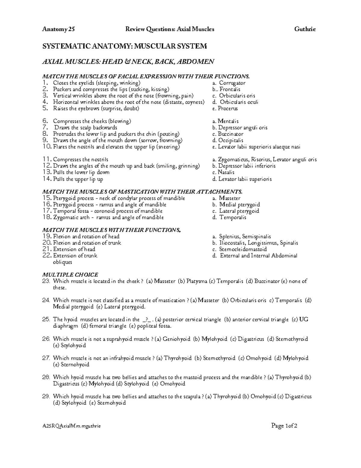 Questions Systematic Anatomy - Muscular System - Review Questions - 24 ...