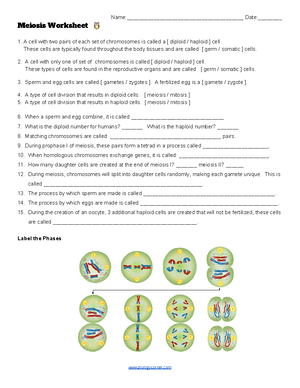 Chapter 5 CK-12 Biology Chapter 5 Worksheets - Chapter 5 The Cell Cycle ...