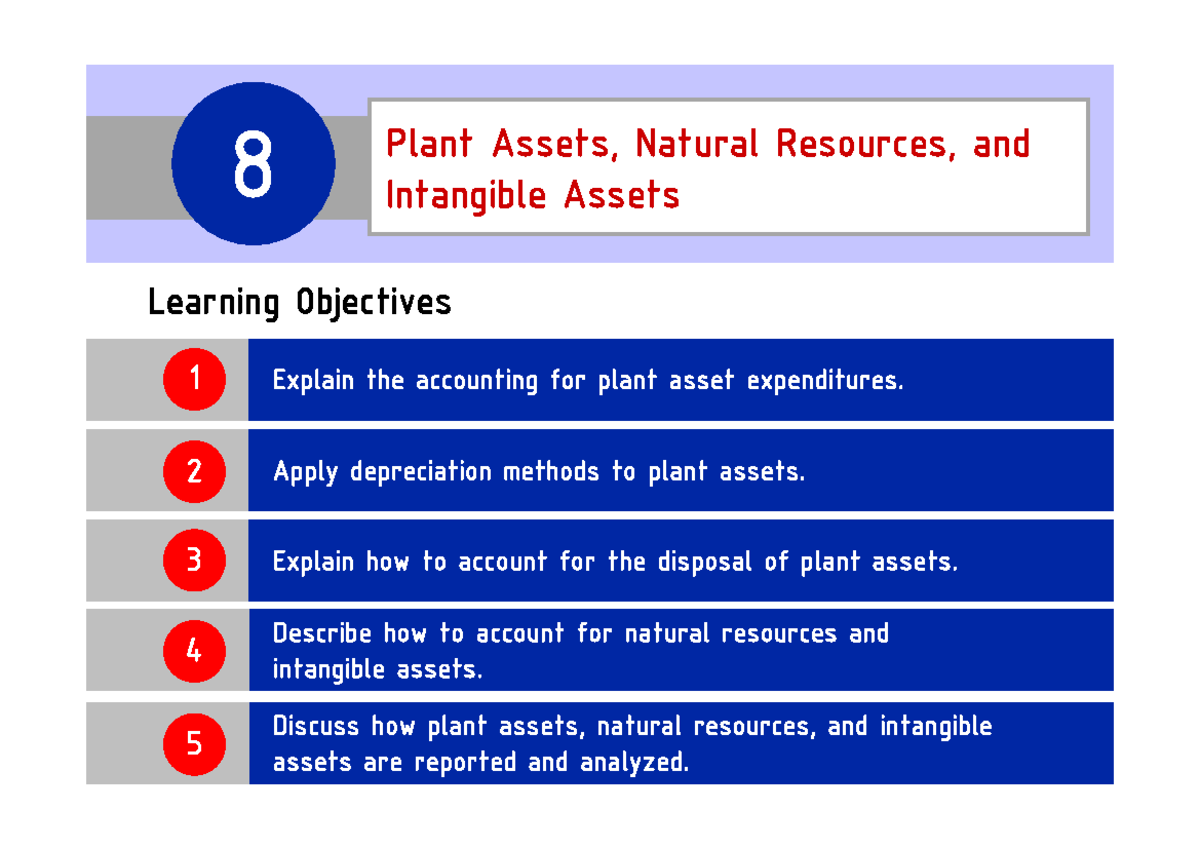 Chapter 8 - Accounting Principles - 10- Plant Assets, Natural Resources ...