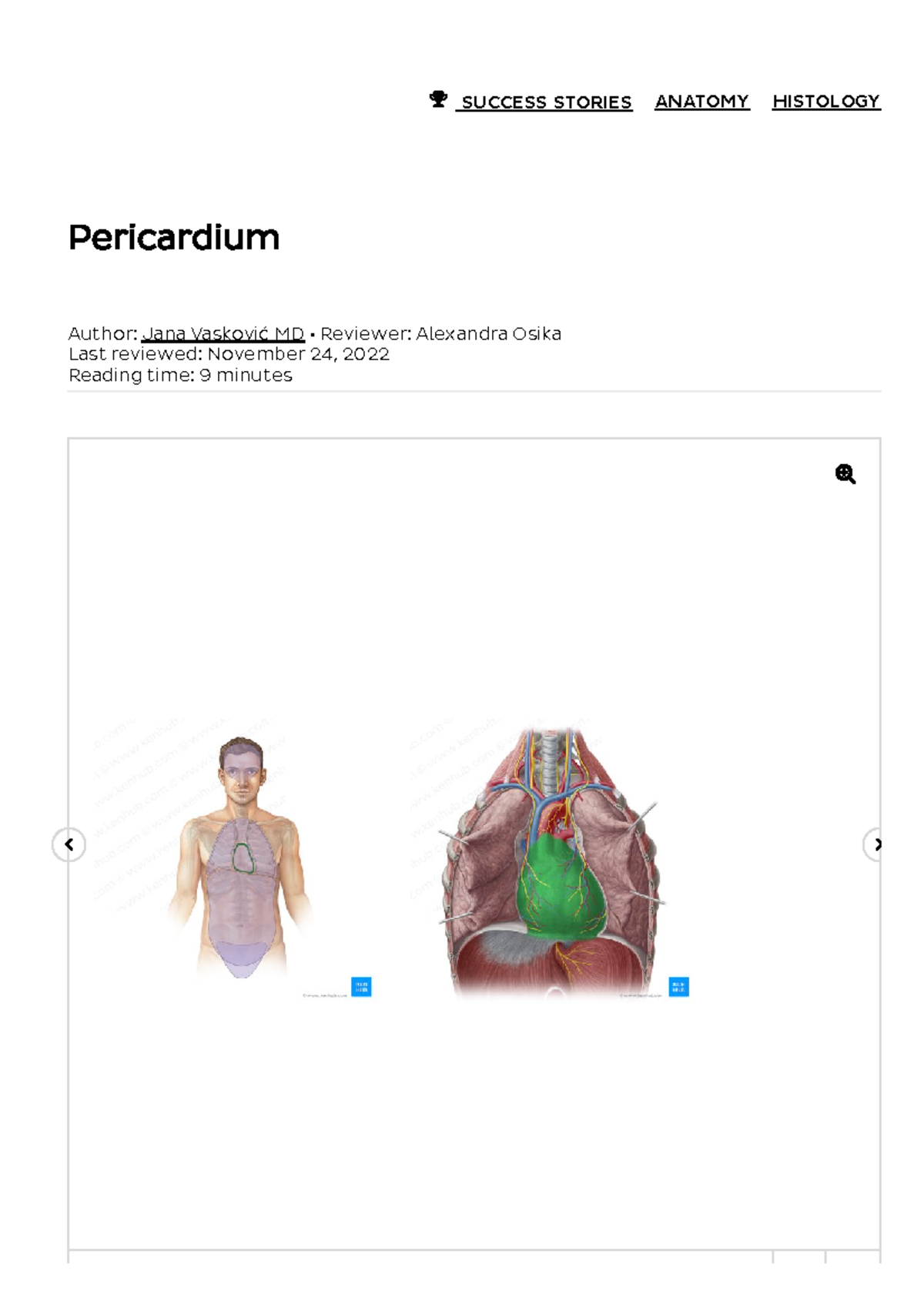 Pericardium Anatomy of fibrous and serous layers Kenhub - Pericardium ...