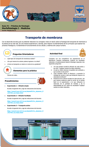 Origen embriológico del Sistema Nervioso sem 1 - NEUROECTODERMO ...