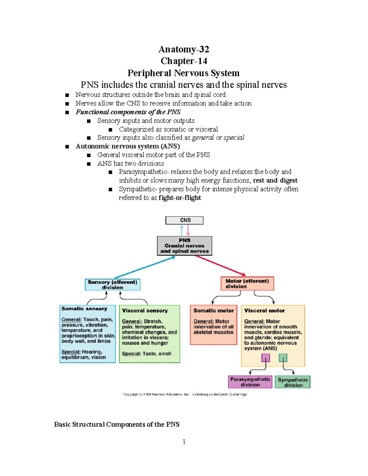 Chapter-14 PNS - notes - Anatomy- Chapter- Peripheral Nervous System ...
